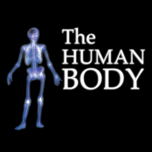 The Human Body Review 148Apps