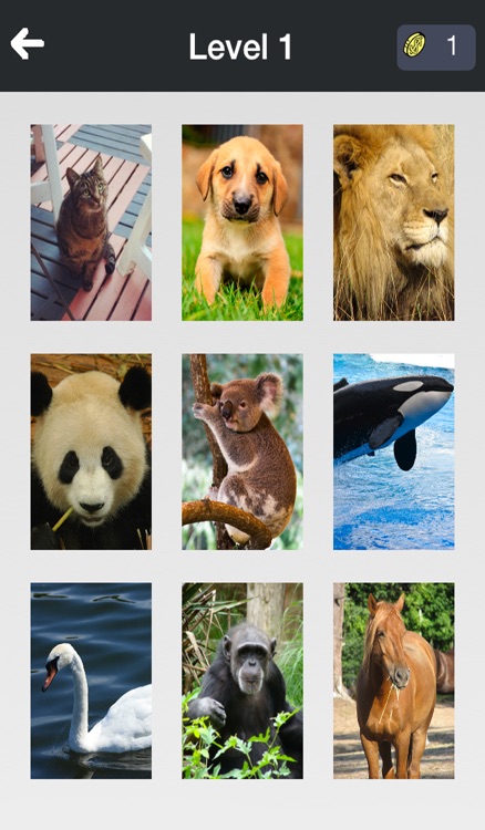 Animal Quiz - Guess the most famous animals (farm, jungle, savannah ...