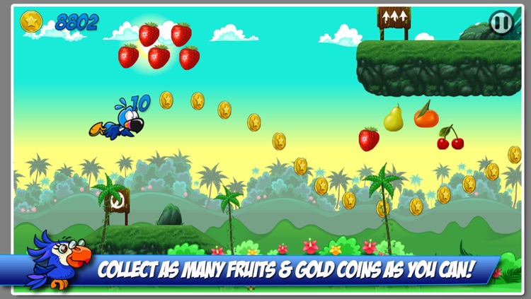 Cute Tiny Birds - Fun Game Pro by David Lim
