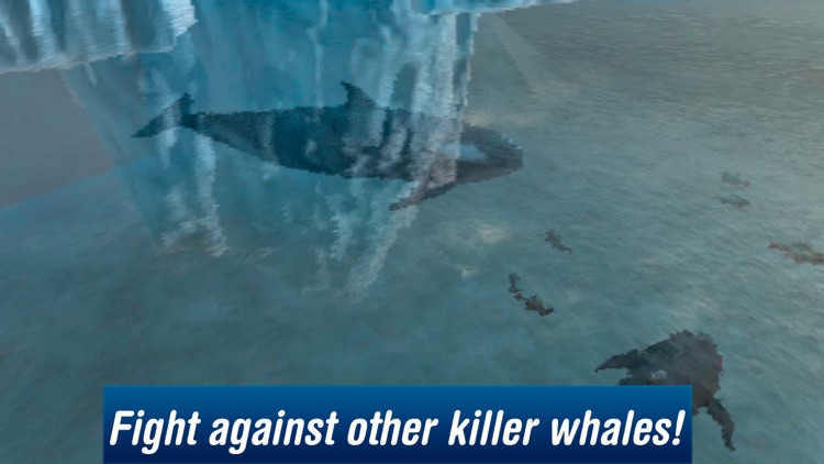 Killer Whale: Orca Simulator 3D by Games Banner Network