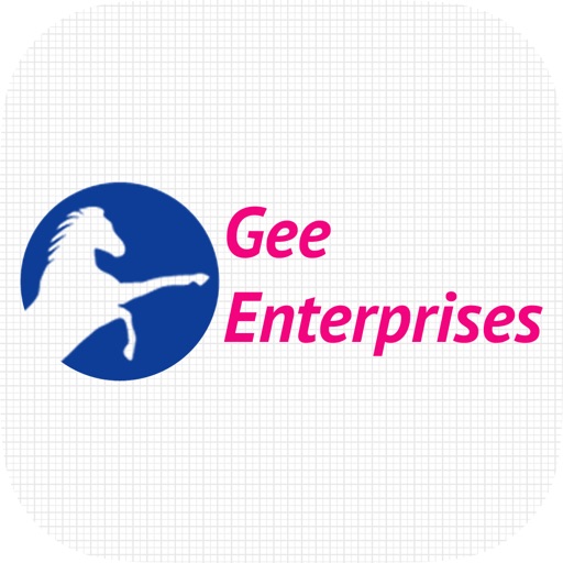 Gee Enterprises by Ashish Nigam