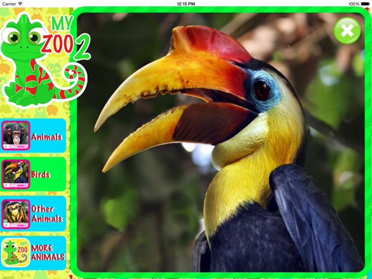 MY ZOO 2 - Learn Animal Names by Alina Yeremenko