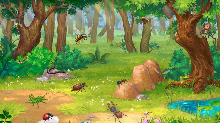 Forest Animals: Interactive Encyclopedia for Kids about European Fauna ...
