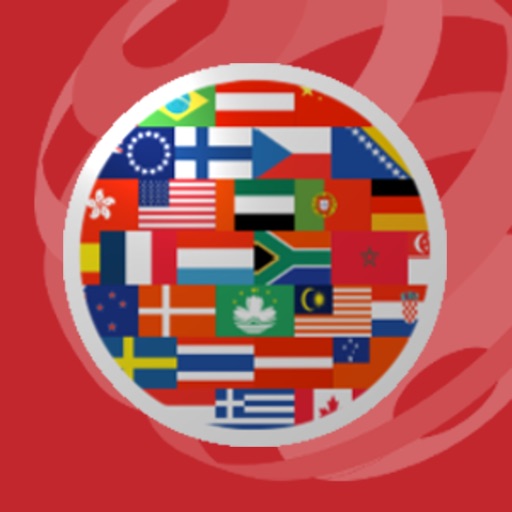 Flagtastic Flag Fun by Mark Saunders