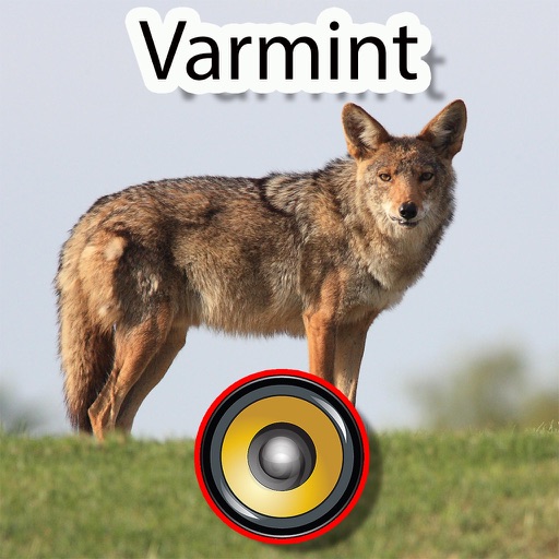 200+ Varmint Calls by Feng Zhou