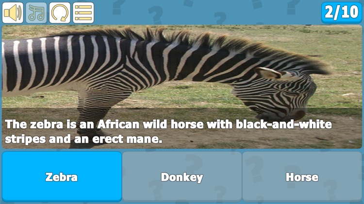 Global Trivia Quiz by Andriy Zhuk