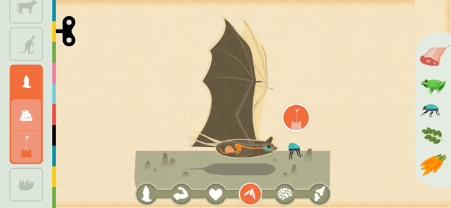 ‎Mammals by Tinybop on the App Store