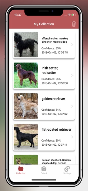 Dog Breed Identifier Doge By FAMO Connect LLC | atelier-yuwa.ciao.jp