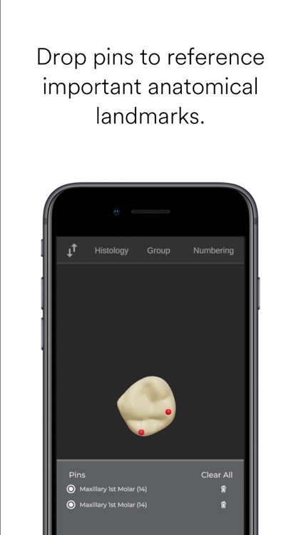 ToothView™ by ACA Dental