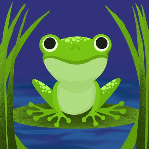The Froggy: Aim And Jump by Louisa Dunn