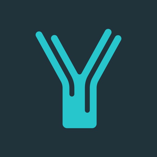 Y TREE by Y TREE Limited