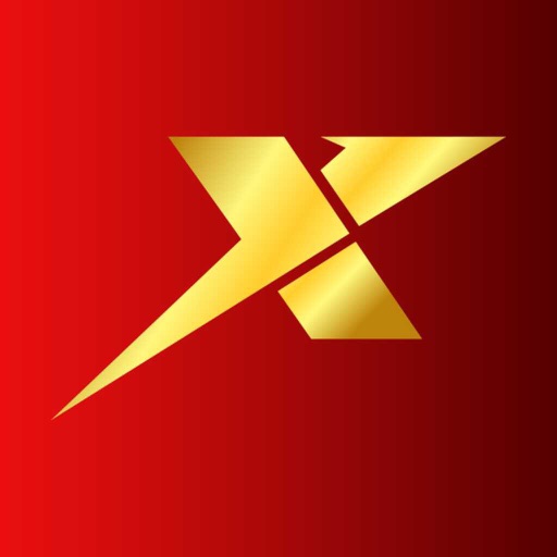 DRIVER X. by paul bird