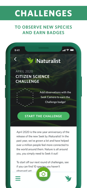 [App do dia] Seek, explore a natureza e identifique o que está à sua ...