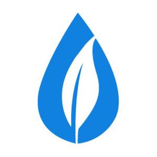 1st Drops by Mobius Labs