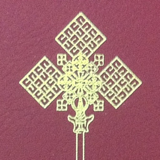 Amharic and Geez Study Bible by Haile Berhe