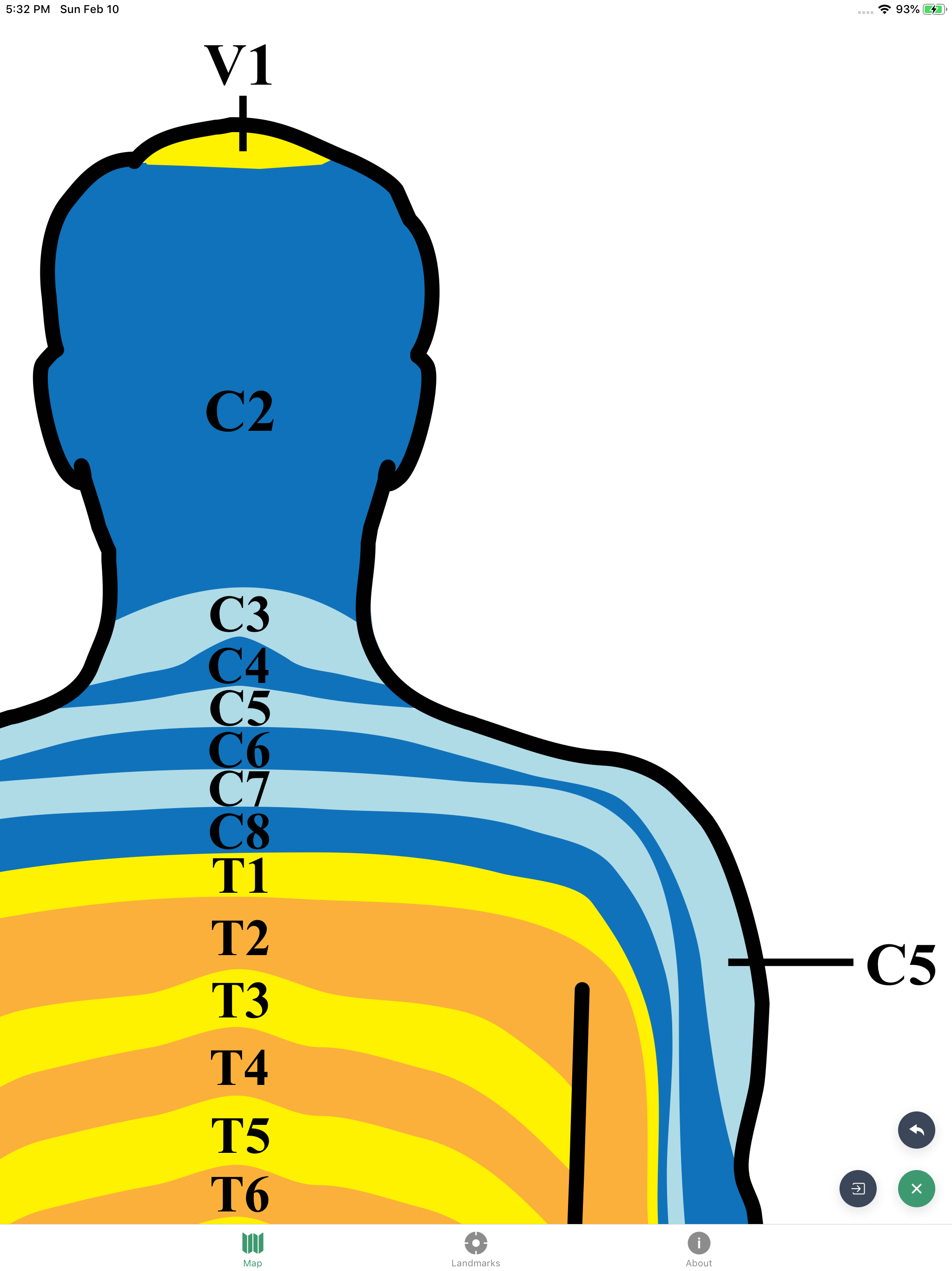 Dermatomes | AppFollow | App’s reputation platform
