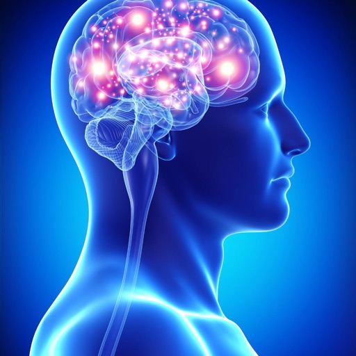 Human Nervous System Anatomy IPhone App