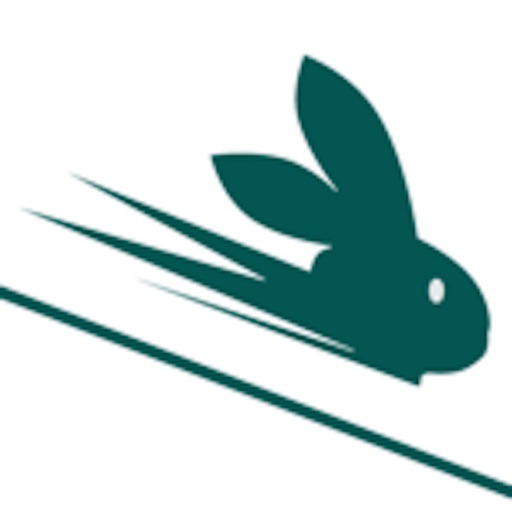 RaRa Driver by Rapid Rabbits Pte Ltd