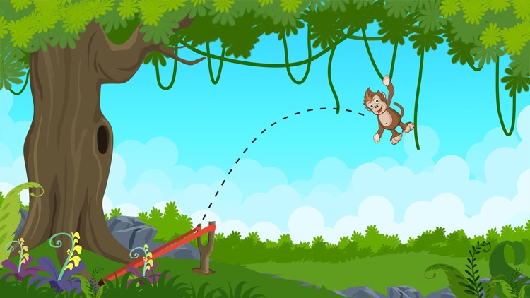 Slam Bad Monkey by Aruna Agrawal