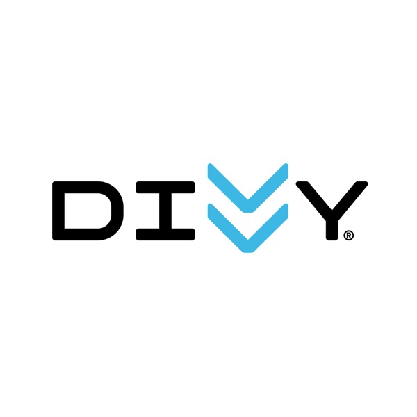 Divvy Bikes - iPhone Wired