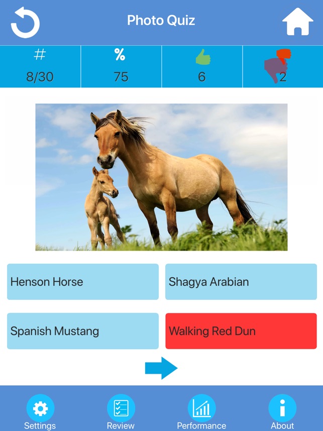 Horse Breeds Quizzes on AppGamer.com
