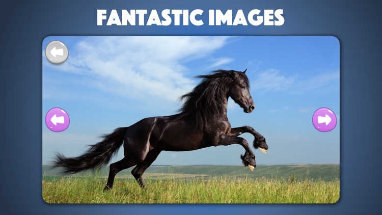 Horse and Pony jigsaw puzzles for kids & toddlers by Yoger Games AB