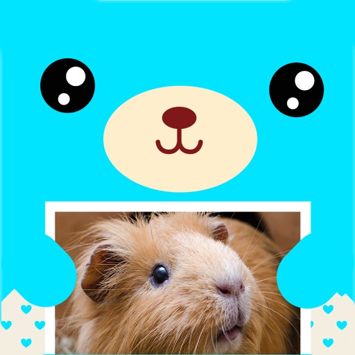 TIL Animal Families by TIL GAMES COMPANY