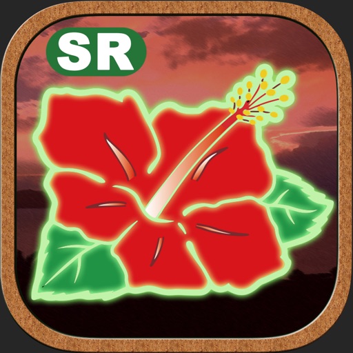 Japanese OKINAWA skill slot by Tomoaki Shoji