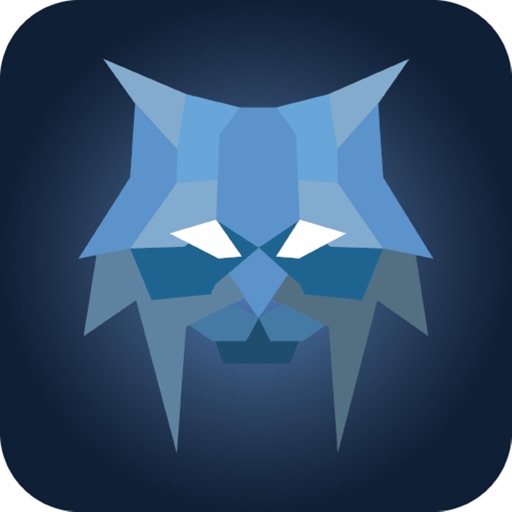 Lynx Messenger by Esdras Etrenne