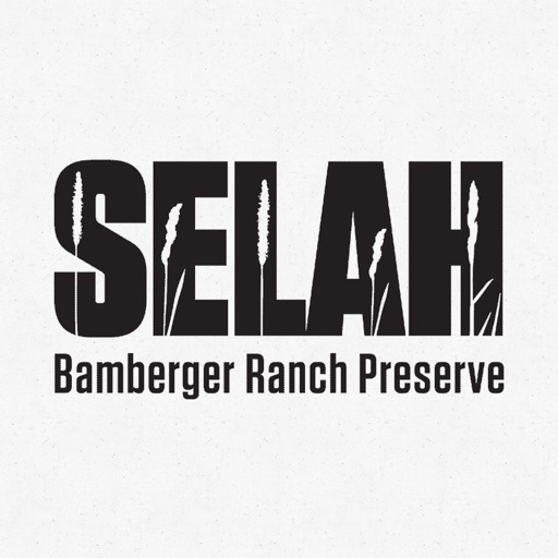 Selah Bamberger Ranch Preserve by Marcy Westcott