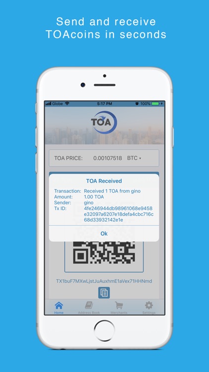 TOA Coin by Travel Operacion Agencia Servicio Inc