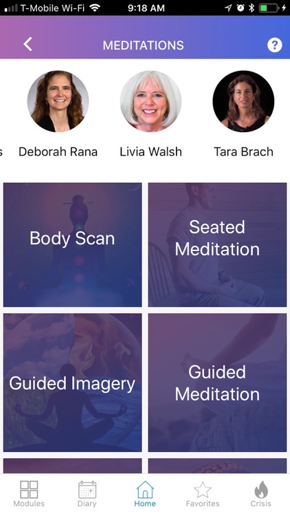 DBT Companion by Swasth Inc.