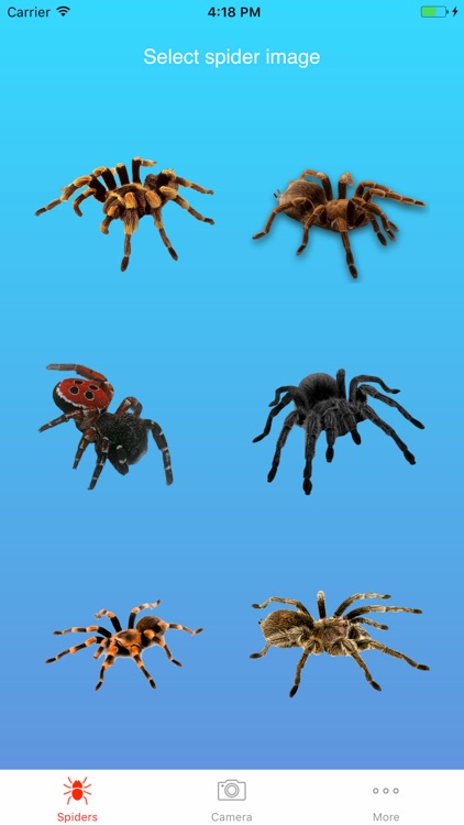Spider on Screen Prank by Tran Anh