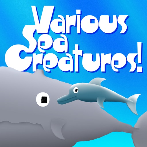 Various Sea Creatures! by John Cretella