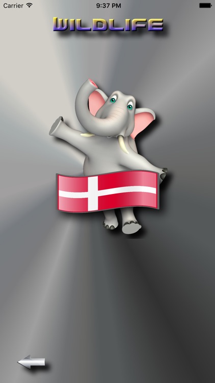 Glen Foster Magic by Carl R Andrews, Inc.