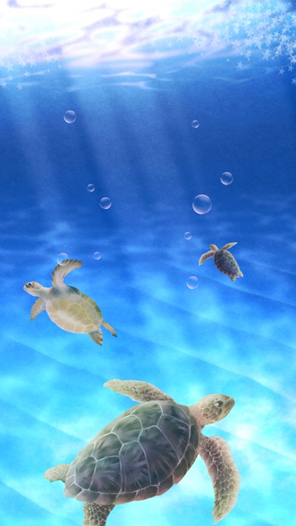 Aquarium Sea Turtle simulation game by tack