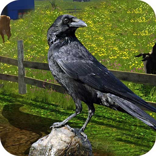 Ultimate wild crow hunter: birds sniper kill shot by Muhammad Zubair