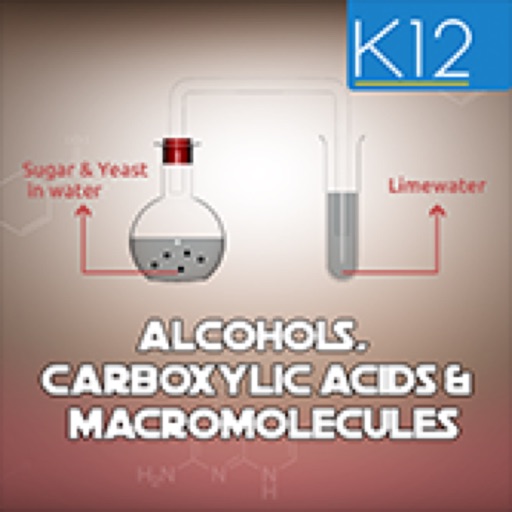Alcohols & Carboxylic Acids by www.ajaxmediatech.com