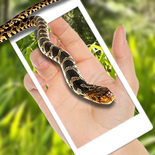On Screen Snake Festlasopa