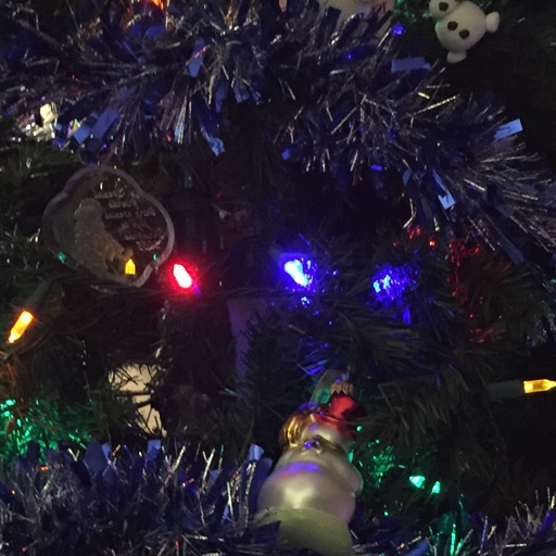 MyDecs for PC - Windows 7,8,10,11