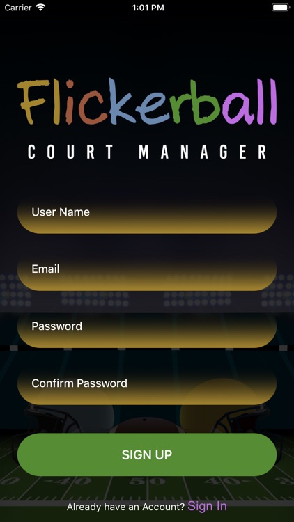 Flickerball Court Manager by Lisa Jones