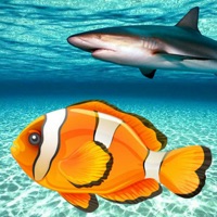 Télécharger Real Fish Simulator sur PC - Windows 10 et 11 - Windowsapp.fr