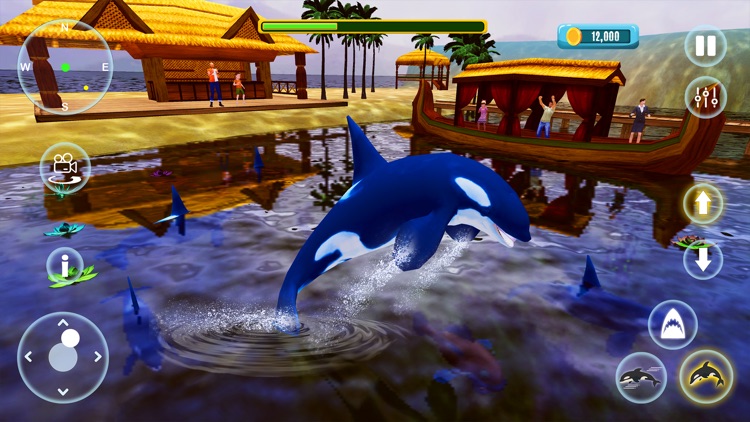 Orca Killer Whale Simulator by Abdur Rafay