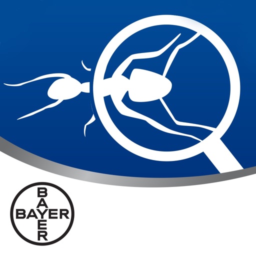 Bayer Maxforce Ant Solutions by Bayer Group