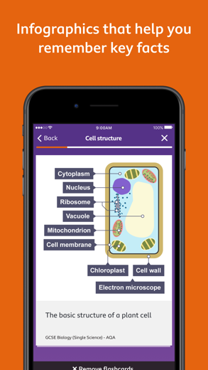 BBC Bitesize for iPhone - APP DOWNLOAD