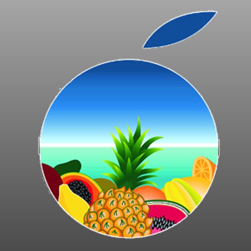 Helfer by PPO Services AG