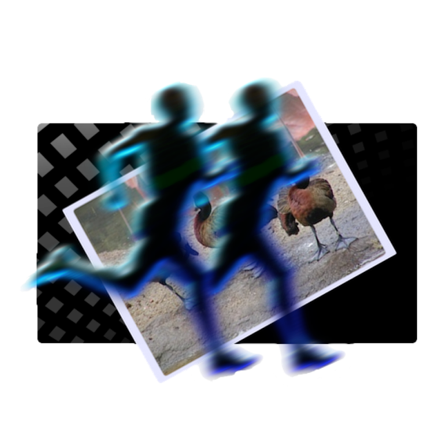 ‎CM Batch Photo Processor on the Mac App Store