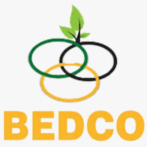 BEDCO by Rajaram S