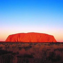 Uluru birds by Director of National Parks