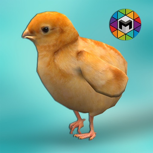 Chick Simulator by Alperen Karagoz